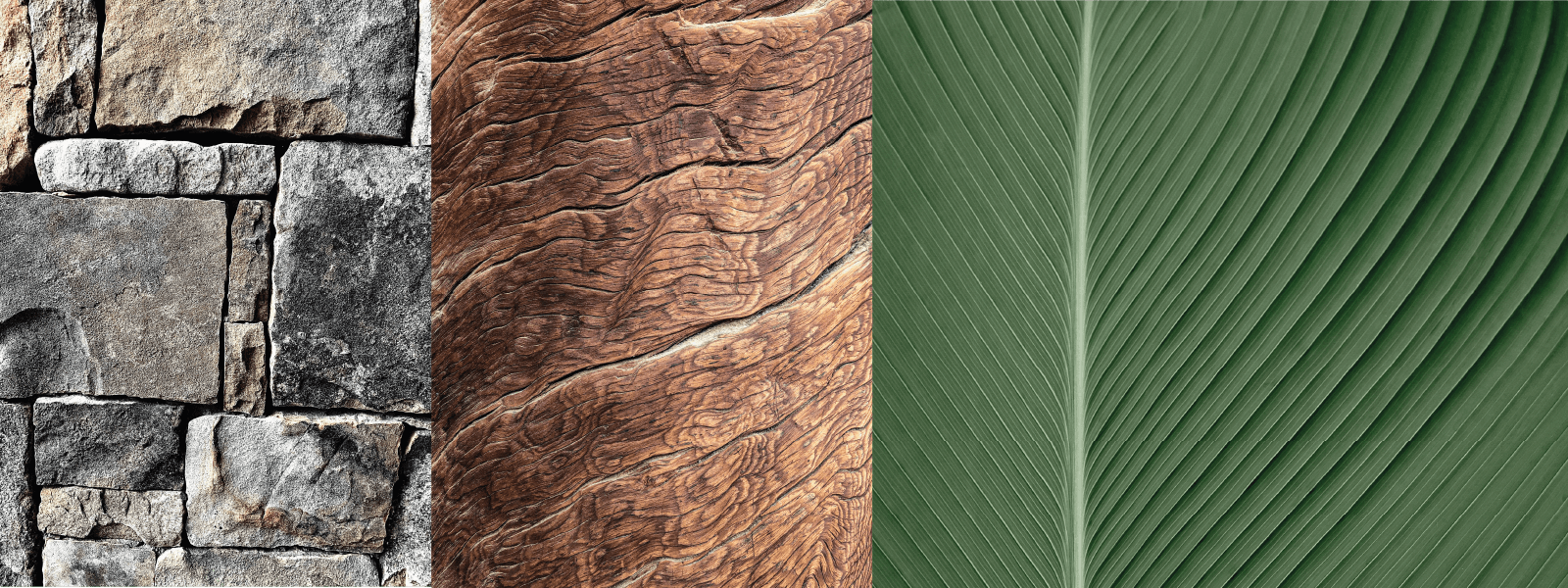 Biofilia: espacios más humanos para trabajar - Esgarden