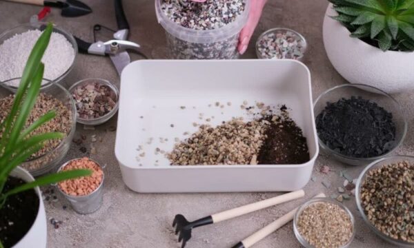 ¿Qué tipo de sustrato usar según la planta? - Esgarden